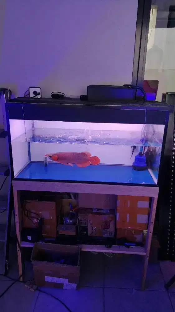 Background di Indonesia - OLX Murah Dengan Harga Terbaik - OLX.co.id