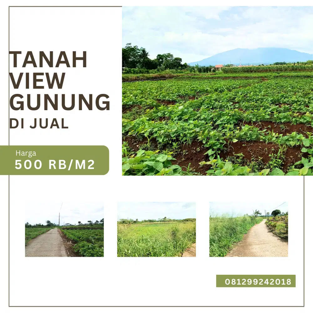 JUAL VIILA VIEW GUNUNG di Indonesia - OLX Murah Dengan Harga Terbaik ...