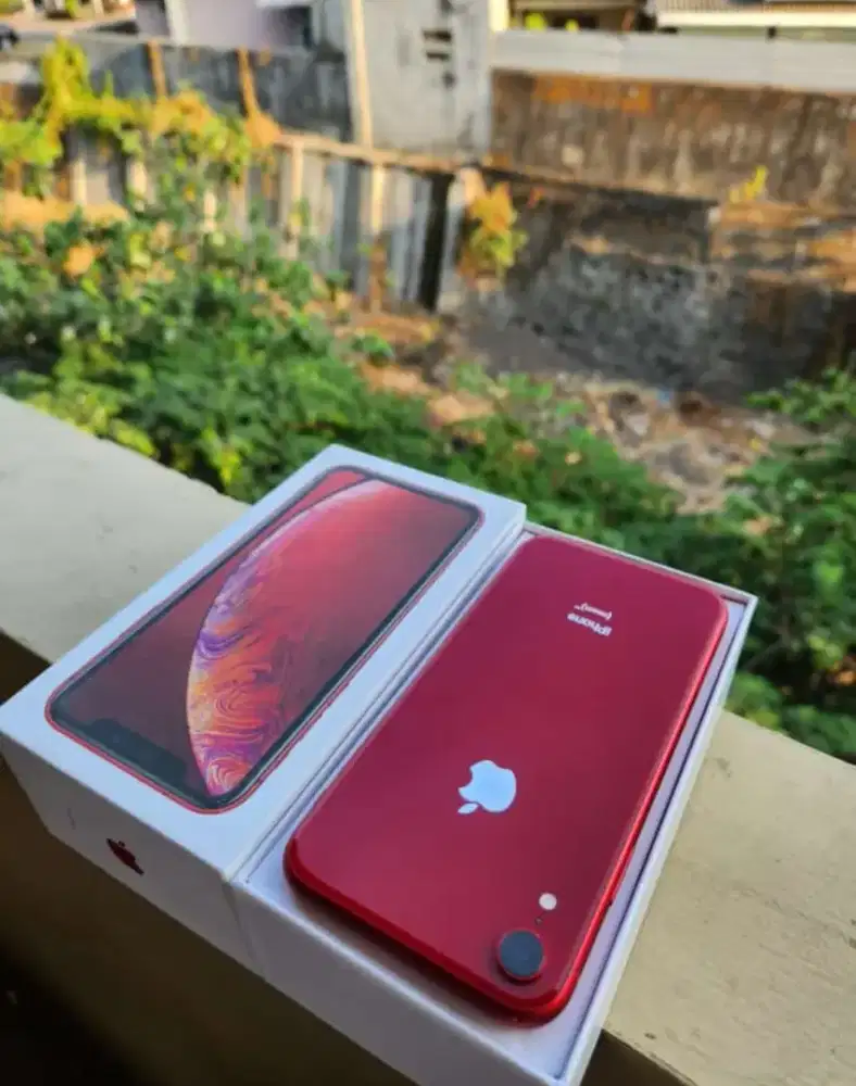 Iphone XR 128 GB Sinyal Terdaftar Semua Kartu Bisa Mulus Tanpa Noda ...