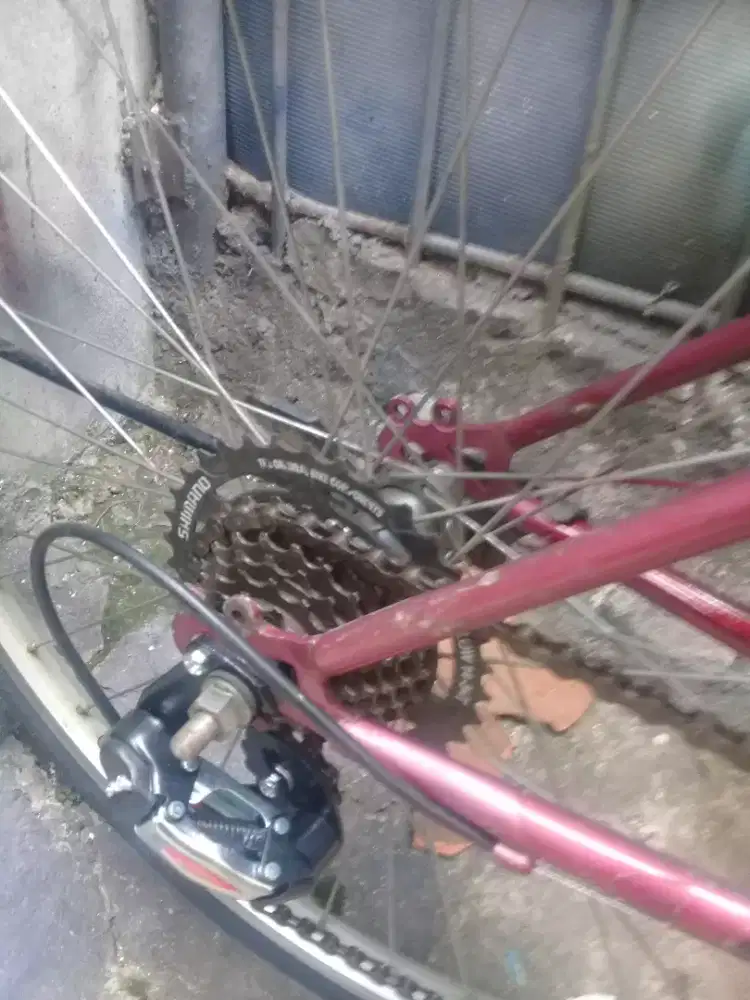 Sepeda polygon ban 24 - Sepeda & Aksesoris - 914218783