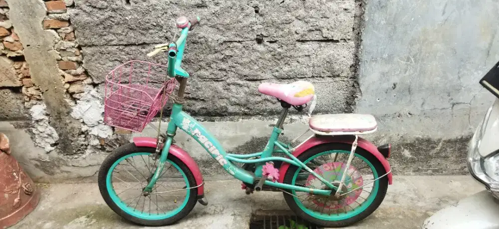 Sepeda Roda 2 di Indonesia - OLX Murah Dengan Harga Terbaik - OLX.co.id