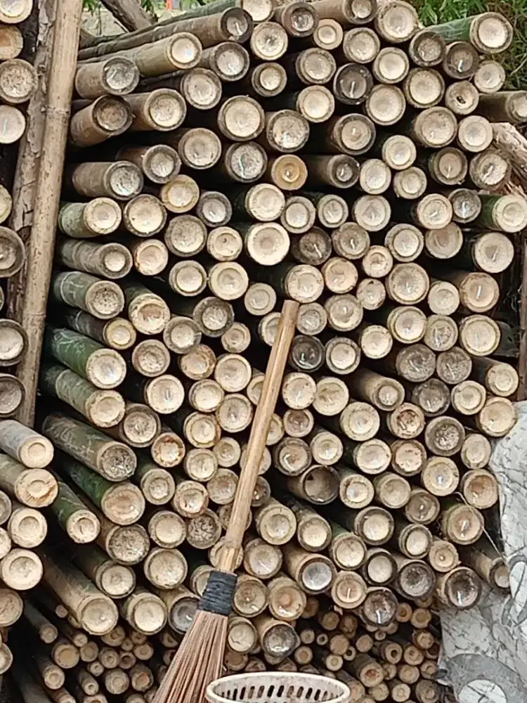 Dolken di Indonesia - OLX Murah Dengan Harga Terbaik - OLX.co.id