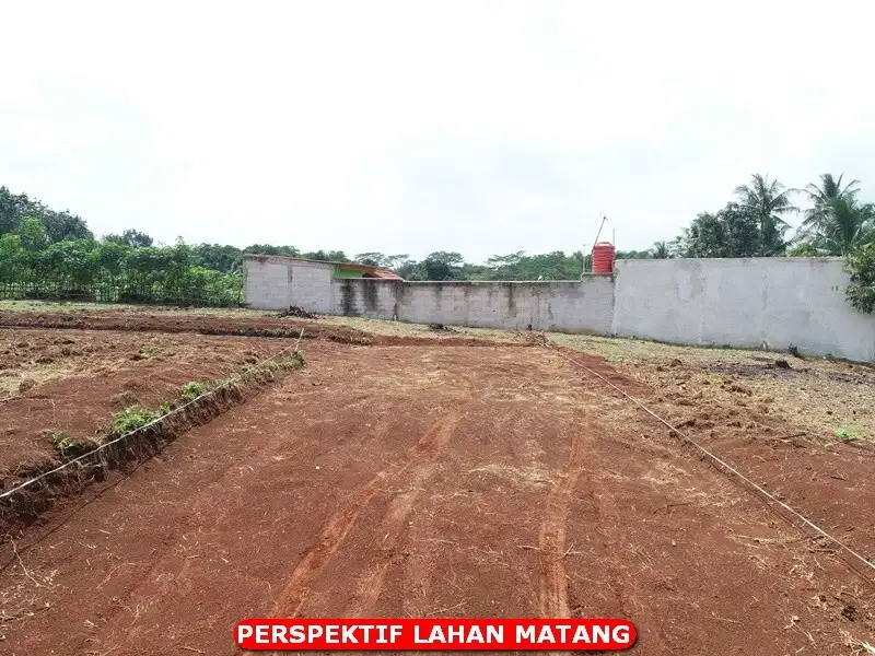 Matang di Indonesia - OLX Murah Dengan Harga Terbaik - OLX.co.id