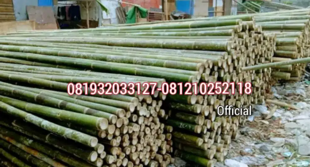 Dolken di Indonesia - OLX Murah Dengan Harga Terbaik - OLX.co.id