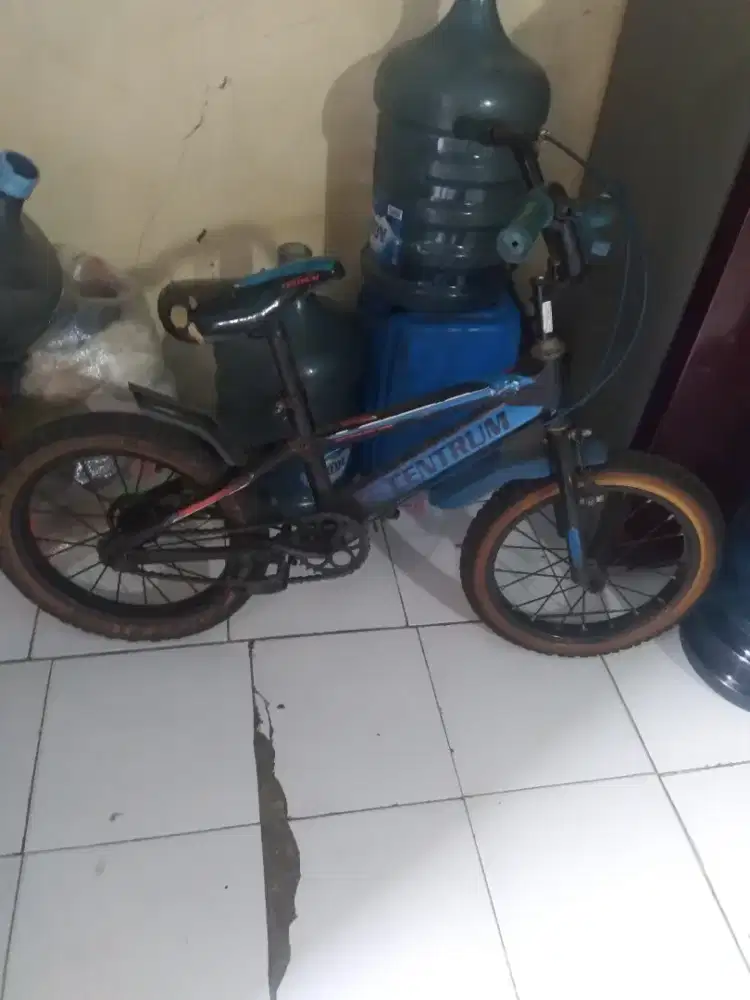 Sepeda Anak Bekas di Ciputat Timur - OLX Murah Dengan Harga Terbaik ...