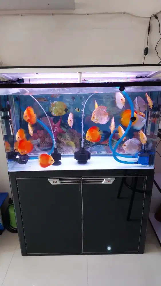 Aquarium Kabinet 1 meter - Hewan Peliharaan - 913644253
