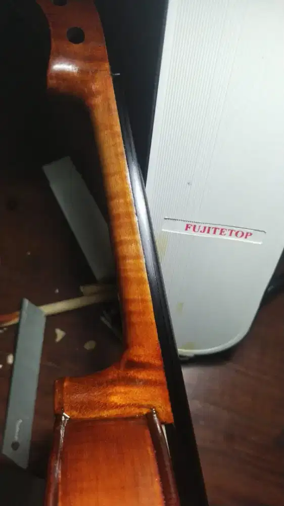 Biola Tua di Indonesia - OLX Murah Dengan Harga Terbaik - OLX.co.id