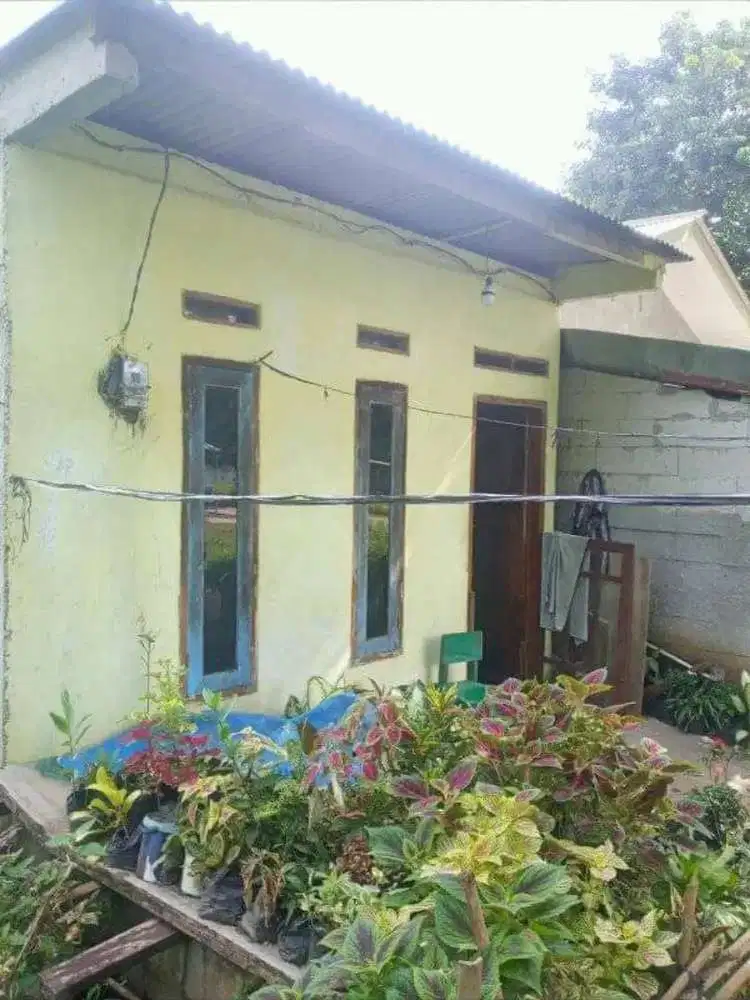 Jual Desa di Indonesia - OLX Murah Dengan Harga Terbaik - OLX.co.id