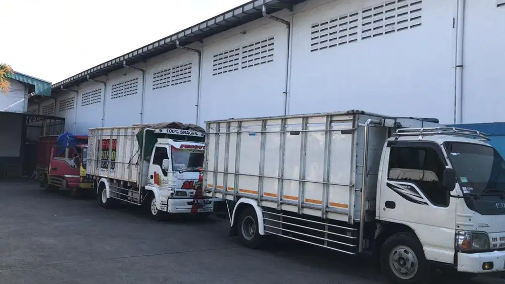 Engkel Colt Diesel di Indonesia - OLX Murah Dengan Harga Terbaik - OLX ...