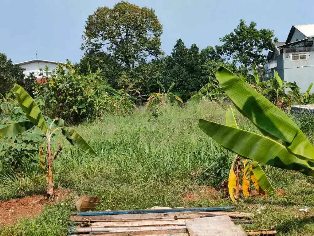 Truk Truk - Dijual Tanah & Cari Tanah Murah di Indonesia - OLX.co.id