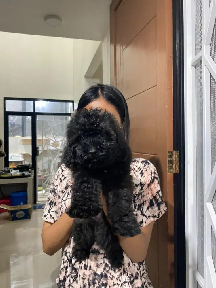 Toy di Indonesia - OLX Murah Dengan Harga Terbaik - OLX.co.id