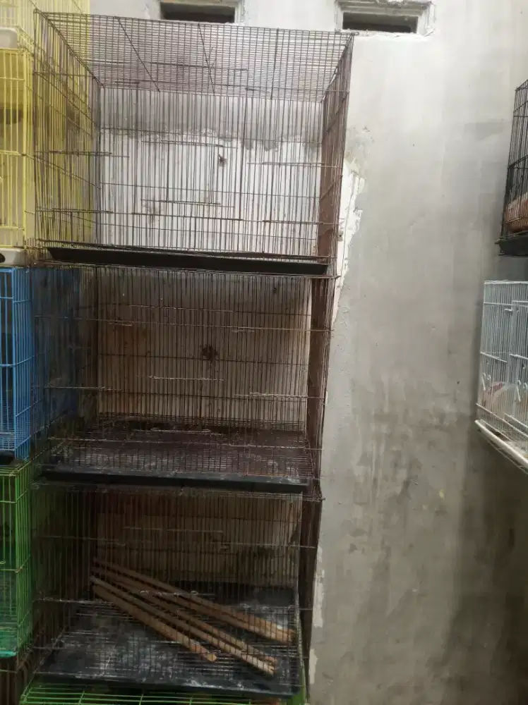 Kandang Ayam di Medan Kota - OLX Murah Dengan Harga Terbaik - OLX.co.id