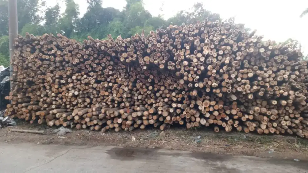 Dolken di Indonesia - OLX Murah Dengan Harga Terbaik - OLX.co.id