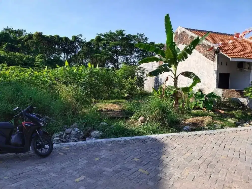 Jalan Asri - Dijual Tanah & Cari Tanah Murah di Surabaya Kota - OLX.co.id