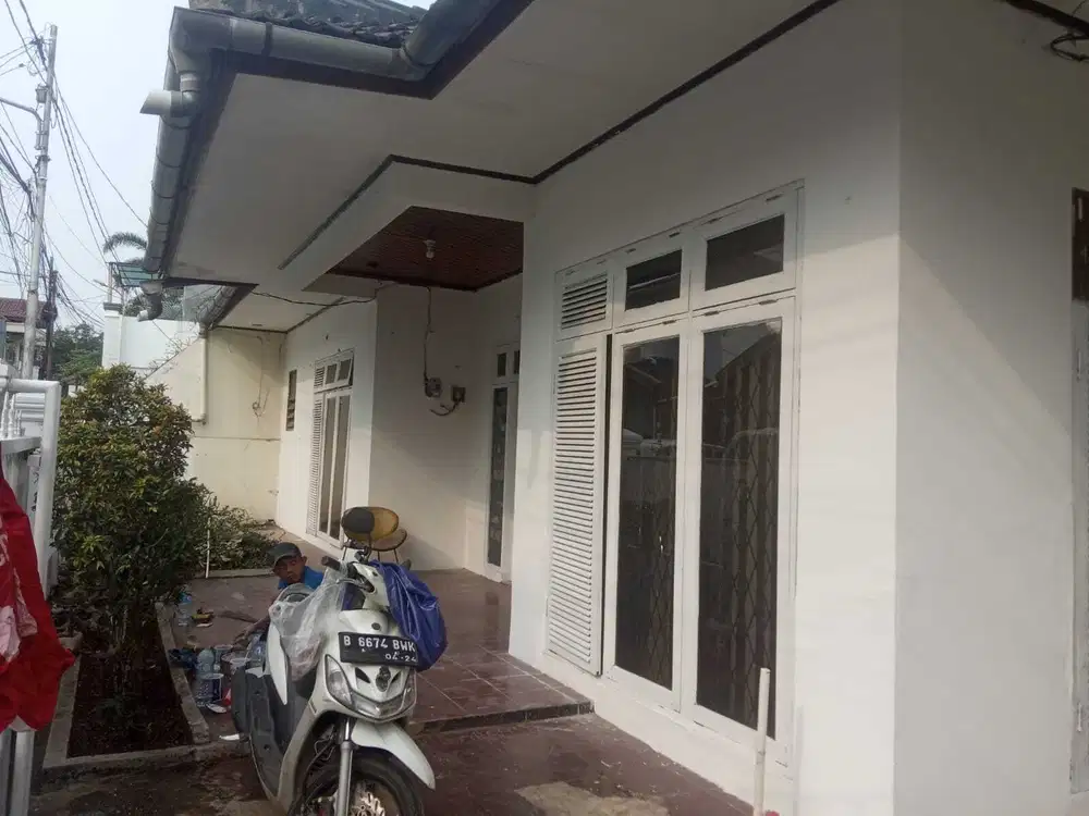 Tebet Tebet Tebet Di Indonesia Olx Murah Dengan Harga Terbaik Id