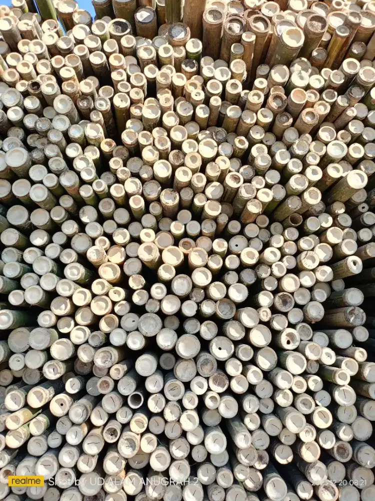 Dolken di Indonesia - OLX Murah Dengan Harga Terbaik - OLX.co.id