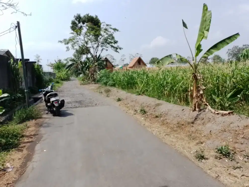 Sewa tanah murah sleman mulai 5 juta pertahun - Tanah - 911948231