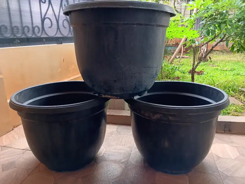 Pot Besar di Indonesia - OLX Murah Dengan Harga Terbaik - OLX.co.id