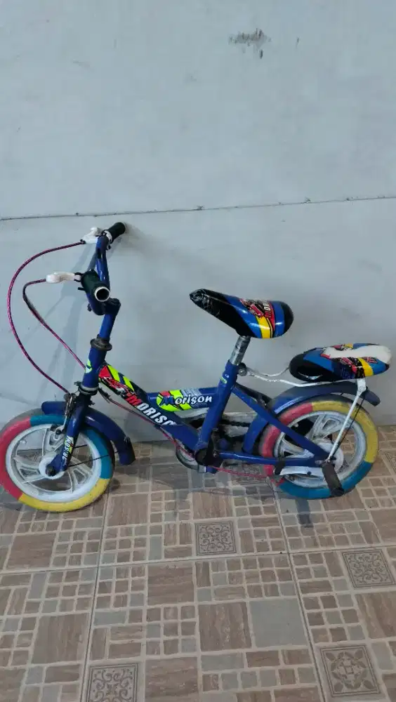 Sepeda Roda 2 di Indonesia - OLX Murah Dengan Harga Terbaik - OLX.co.id