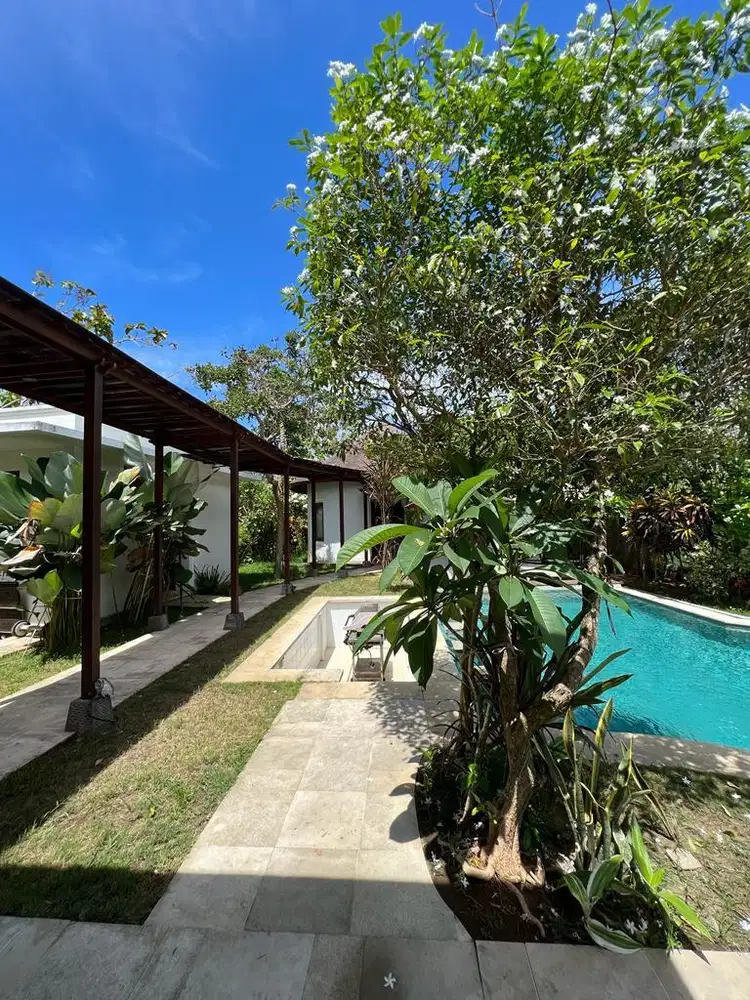 Tanah di Bali - OLX Murah Dengan Harga Terbaik - OLX.co.id