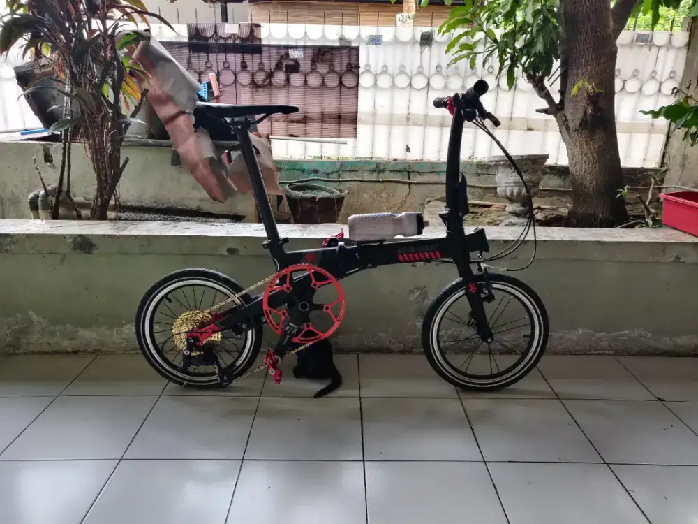 Camp HAZY 9 di Indonesia - OLX Murah Dengan Harga Terbaik - OLX.co.id