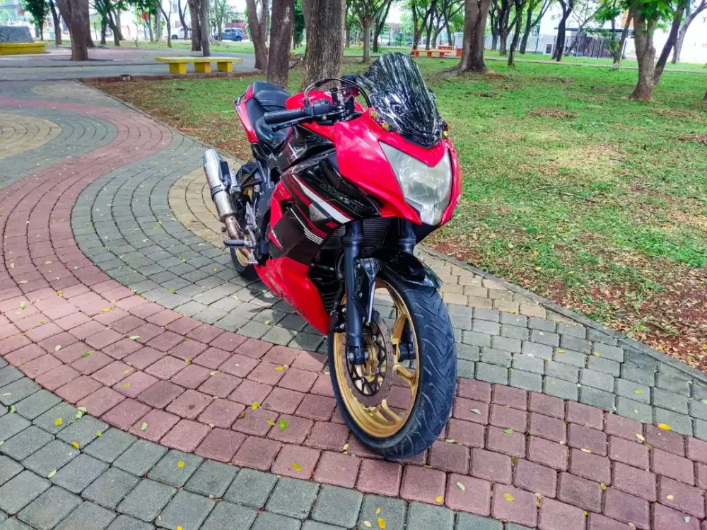Kawasaki Ninja Mono 250 Sl di Jakarta D.K.I. - OLX Murah Dengan Harga ...