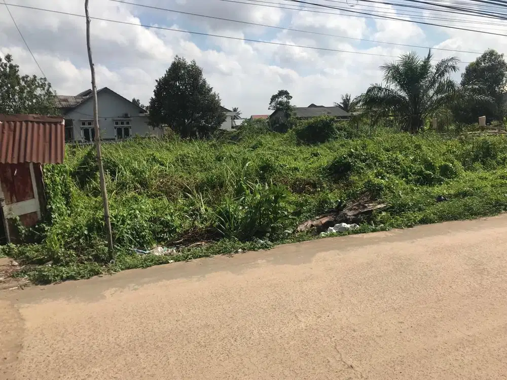 Tanah Bukit Baru - Dijual Tanah & Cari Tanah Murah di Palembang Kota ...