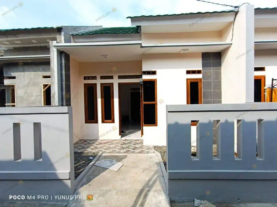 Bali Mas di Indonesia - OLX Murah Dengan Harga Terbaik - OLX.co.id