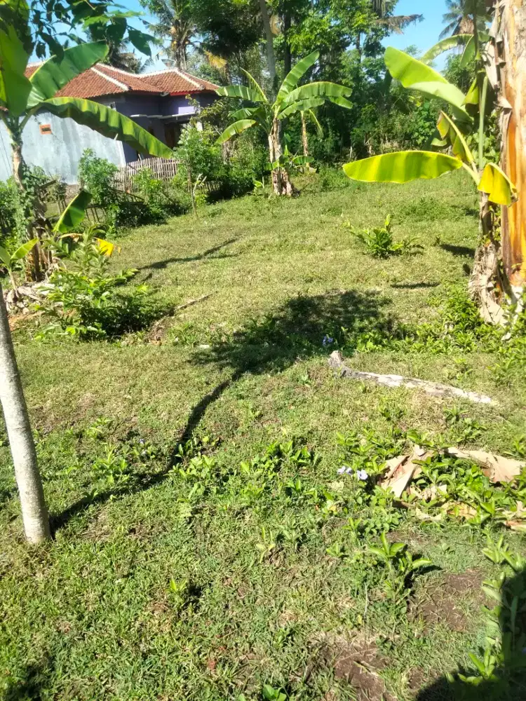 Dijual tanah luas 300 m² harga 30 JT nego per 100 m² - Tanah - 914208085