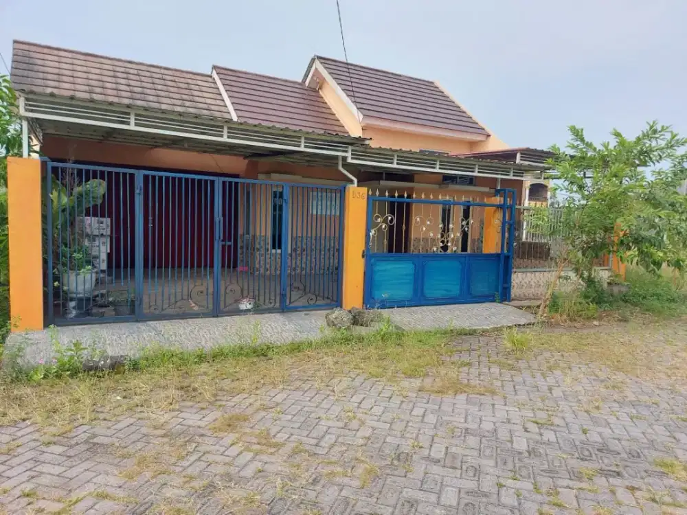 Stand Ruko di Surabaya Kota - OLX Murah Dengan Harga Terbaik - OLX.co.id