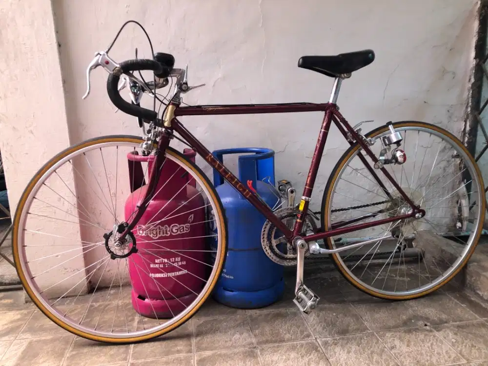 Sepeda Raleigh di Indonesia - OLX Murah Dengan Harga Terbaik - OLX.co.id